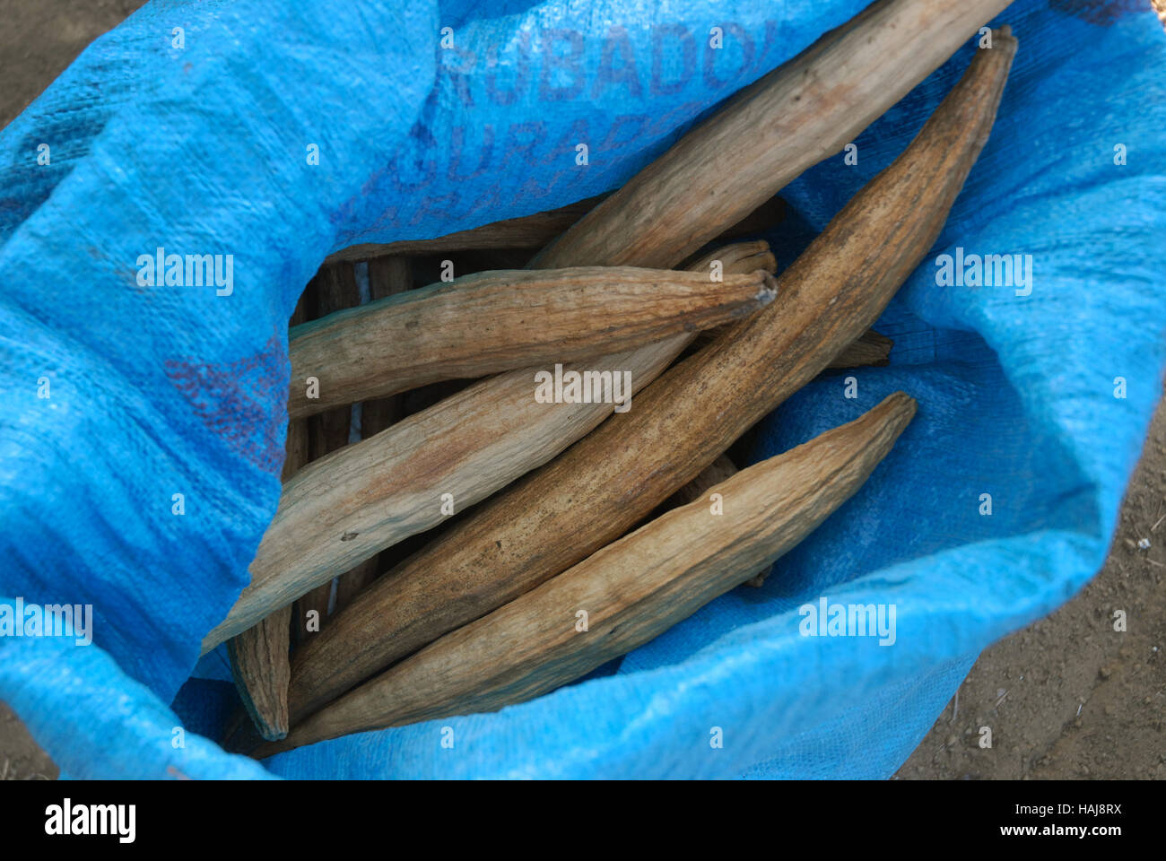 Bag of kopak seed pods, Lawigan, San Joaquin, Iloilo, Philippines Stock ...
