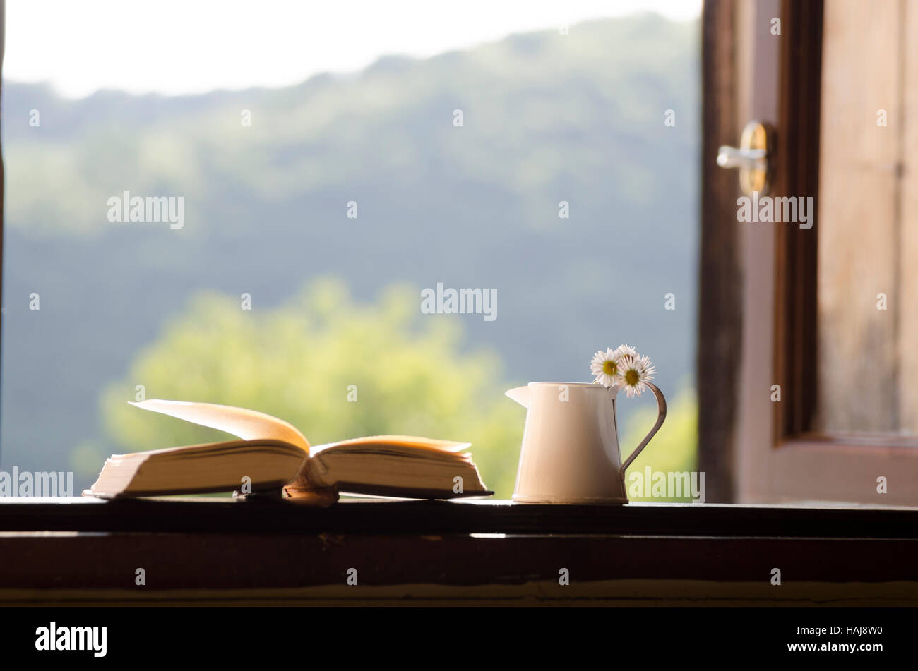 Open window - Blurred photo - Nature or Education background Stock ...