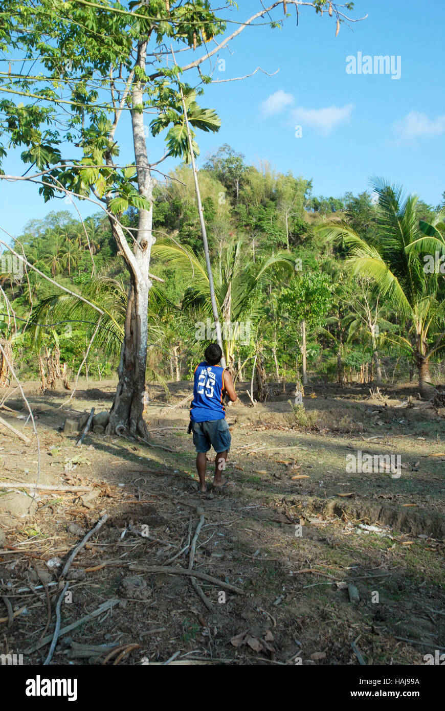 Women collecting Kopak, Lawigan, San Joaquin, Iloilo, Philippines Stock ...