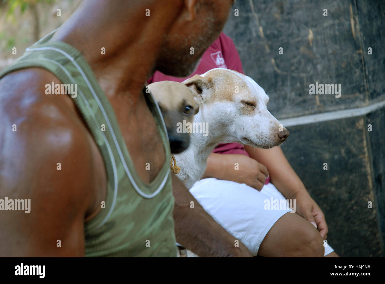 A farmer with his dog in his rice paddy fields, Lawigan, San Joaquin ...
