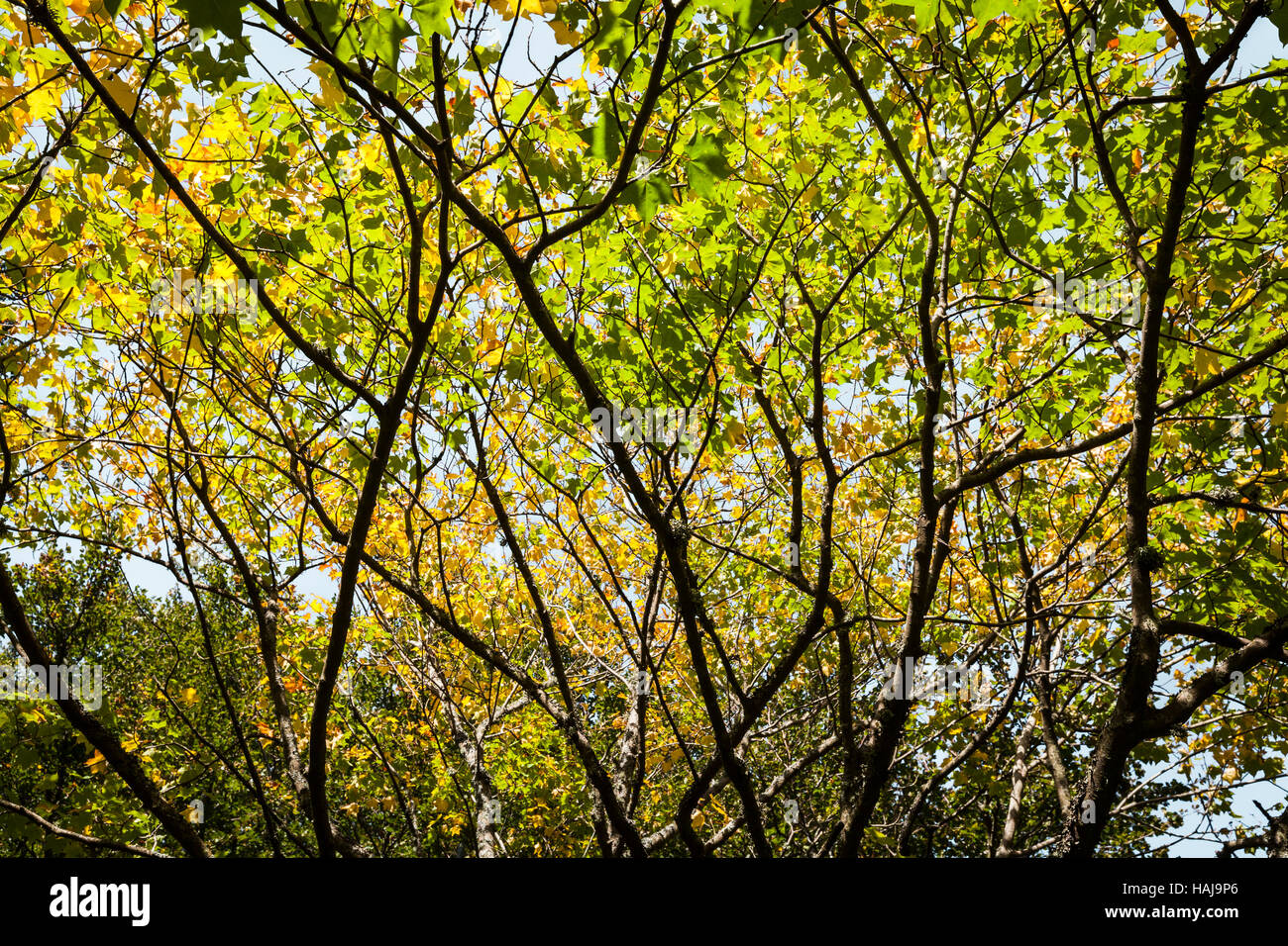 Leith hall hi-res stock photography and images - Alamy