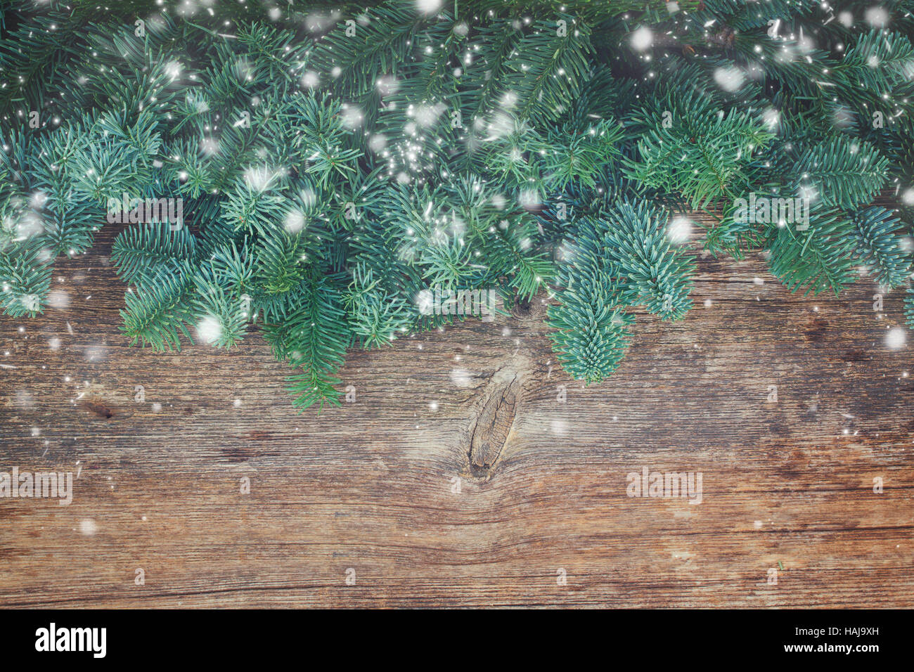 christmas fresh evergreen tree branches Stock Photo - Alamy