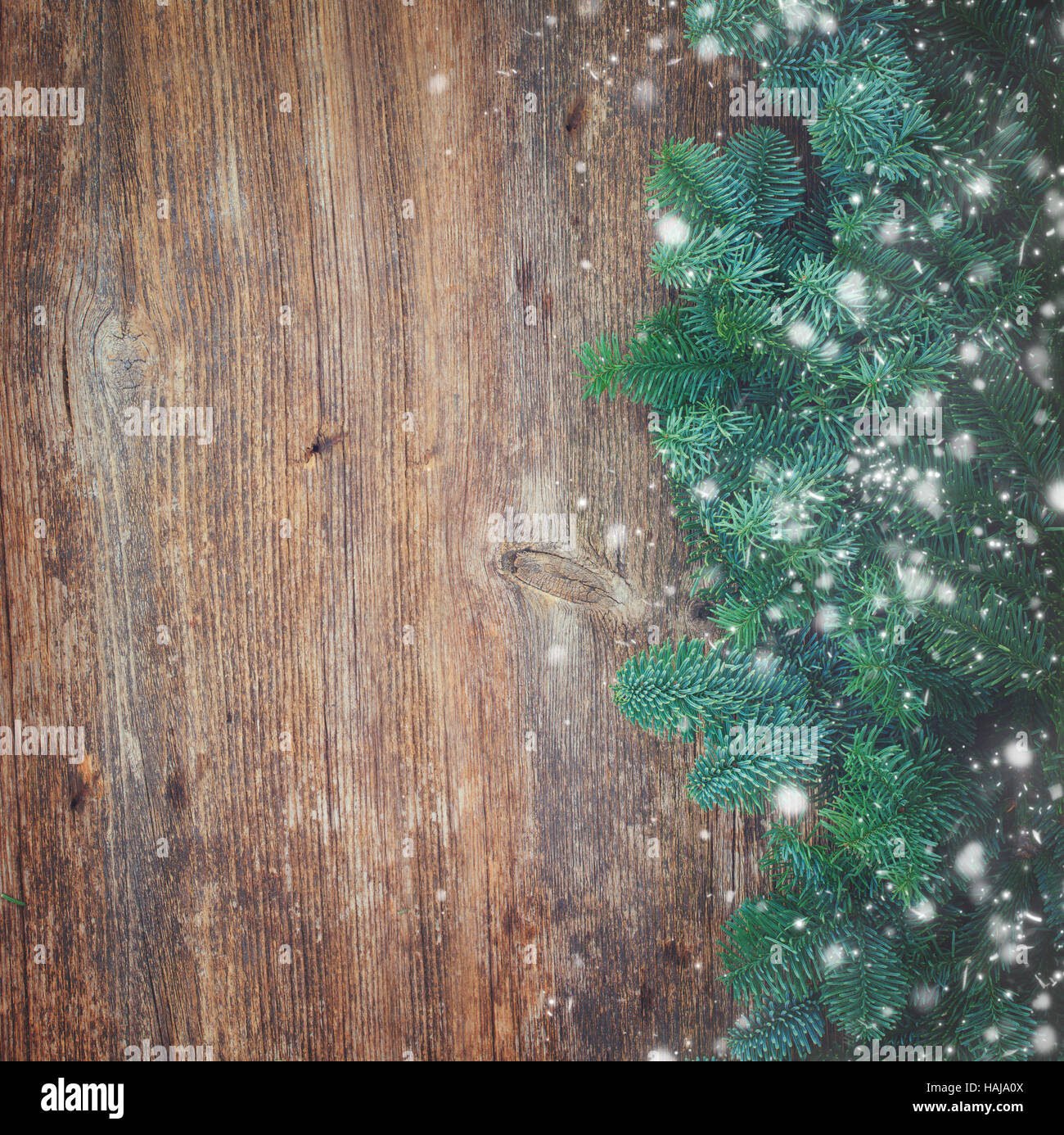 christmas fresh evergreen tree branches Stock Photo - Alamy