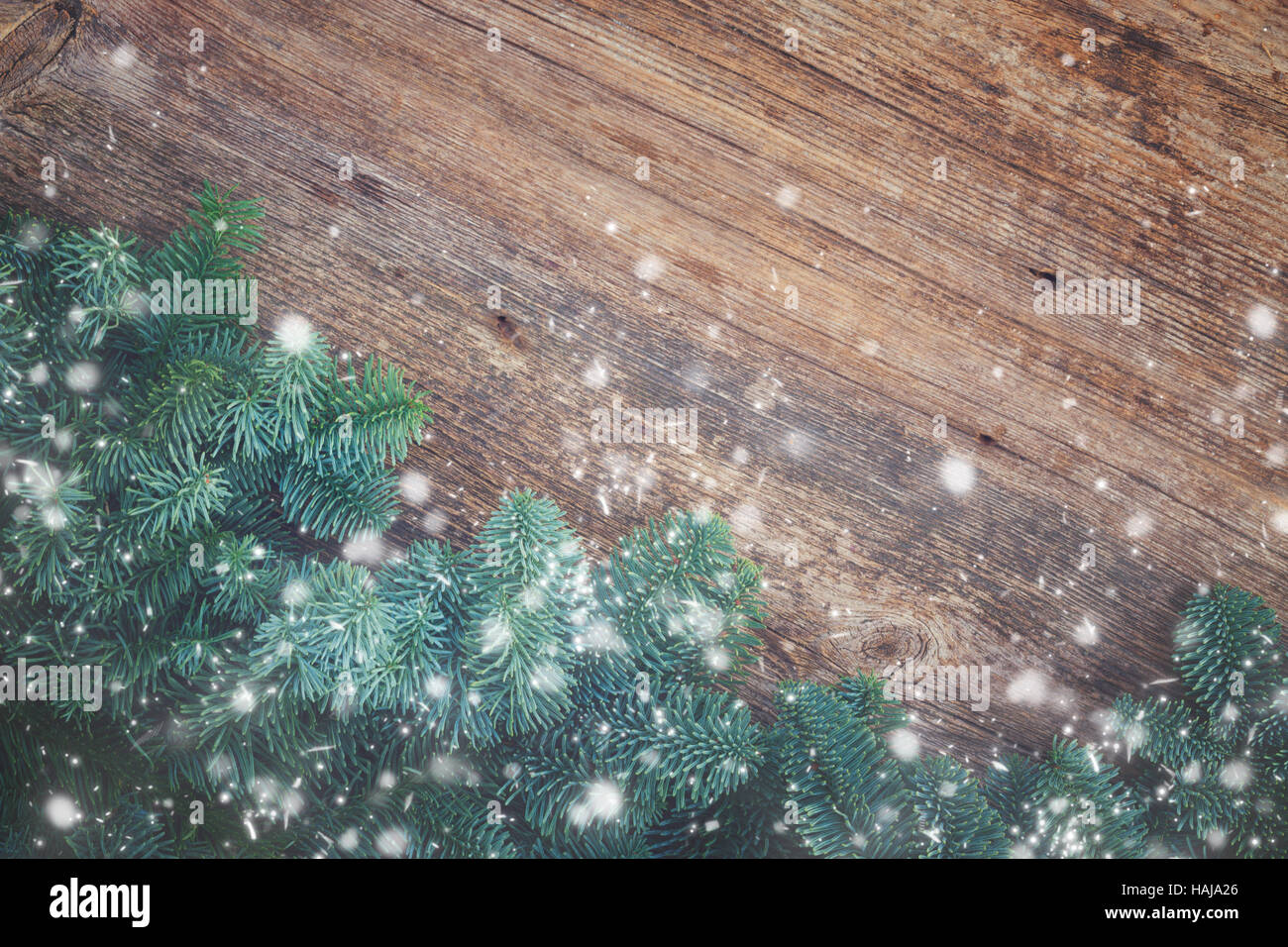 christmas fresh evergreen tree branches Stock Photo - Alamy