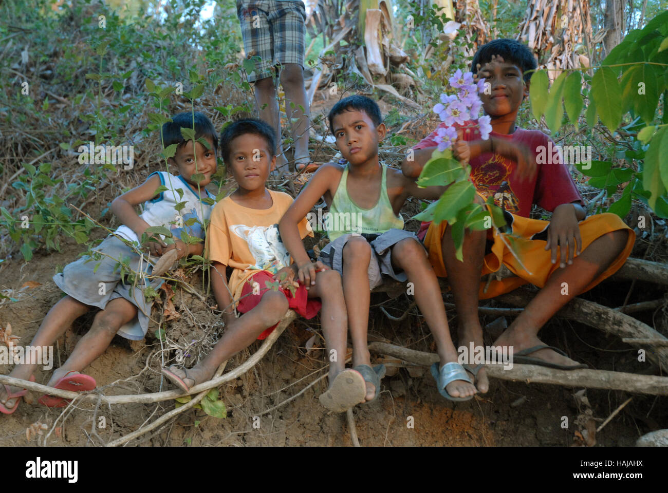 Group of boys sitting on an embankment in the jungle, Lawigan, San ...