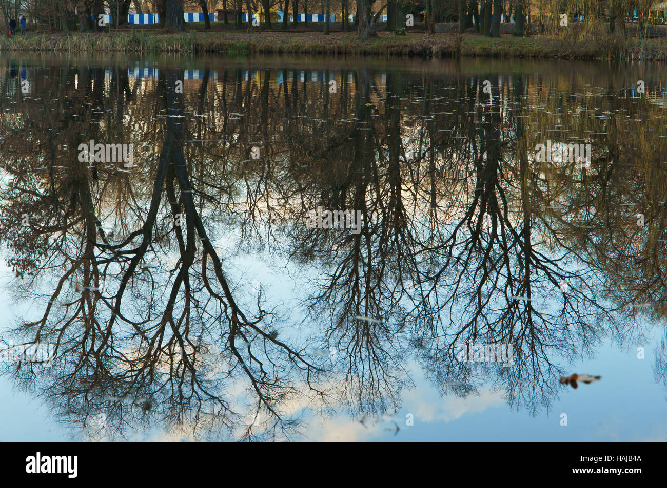 reflection of trees in water, sky reflected in the pond Stock Photo - Alamy