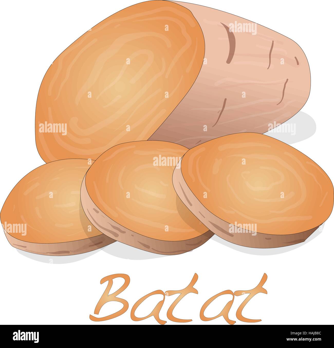 Batat, sweet potato vector isolated on white background Stock Vector ...