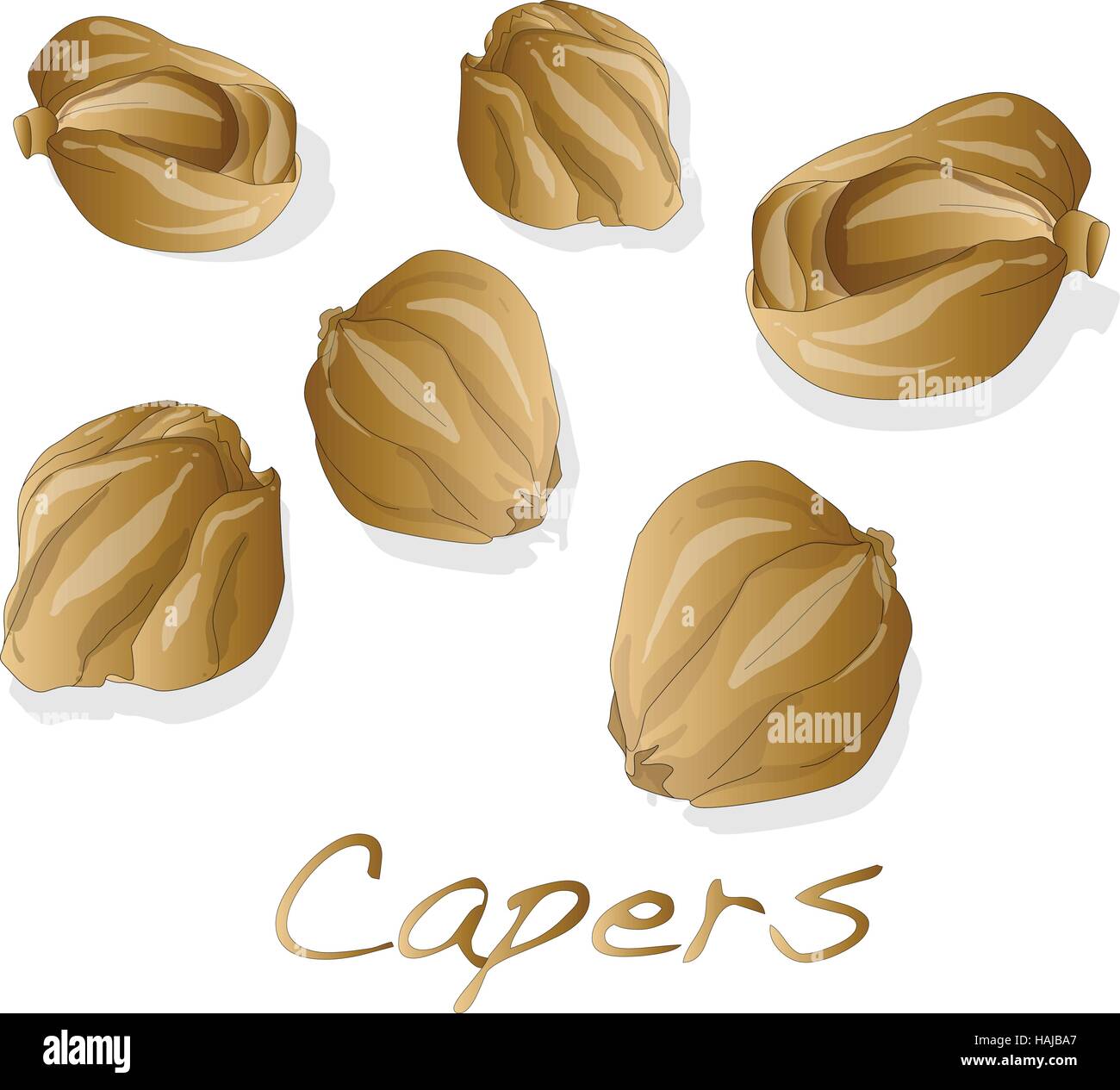 Canned capers vector illustration on white background Stock Vector ...
