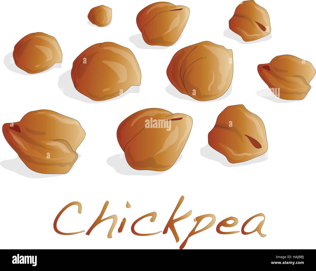 uncooked chickpeas vector on white background Stock Vector Image & Art ...