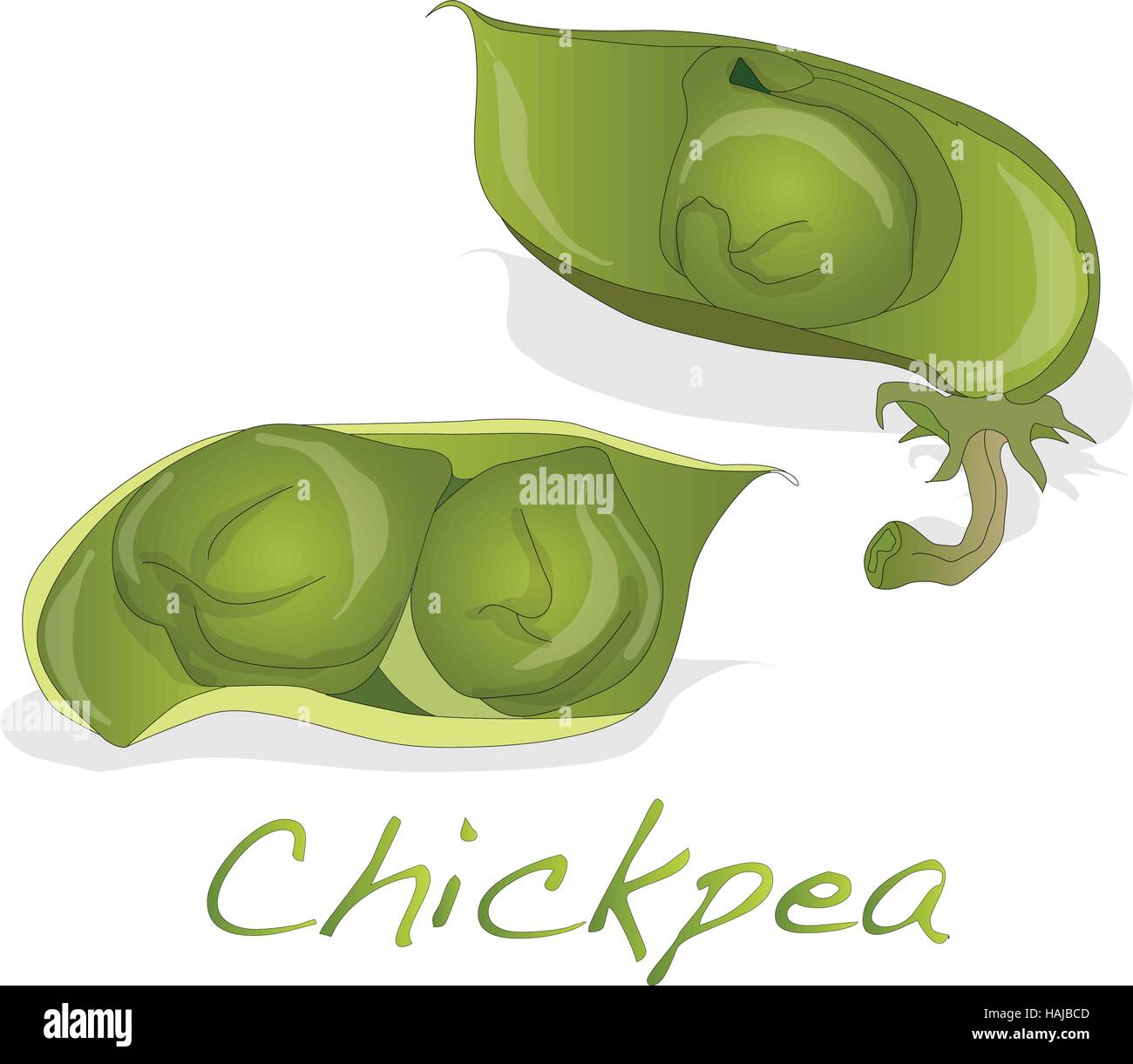 uncooked chickpeas vector on white background Stock Vector Image & Art ...