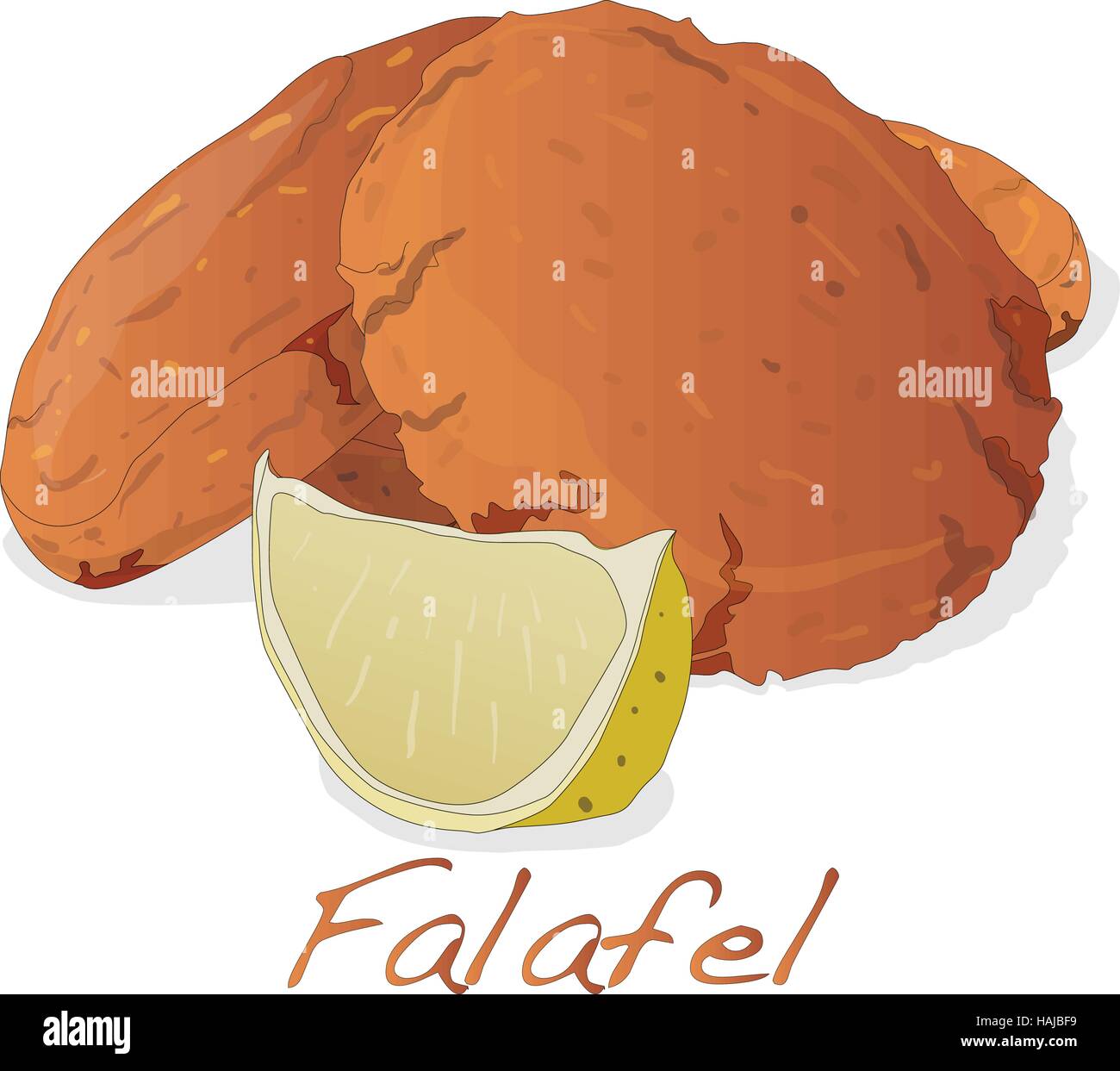 Falafel balls vector isolated on a white background Stock Vector Image ...