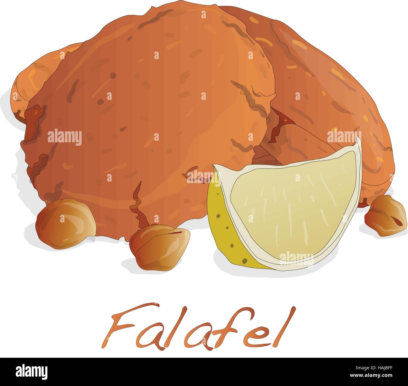 Falafel balls vector isolated on a white background Stock Vector Image ...