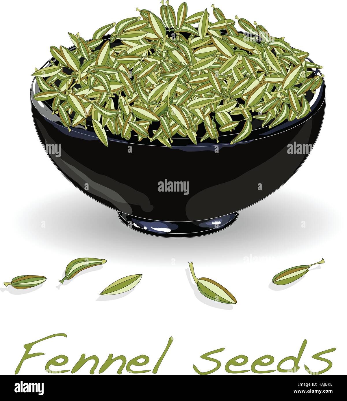 fennel seeds vector on white background Stock Vector Image & Art - Alamy