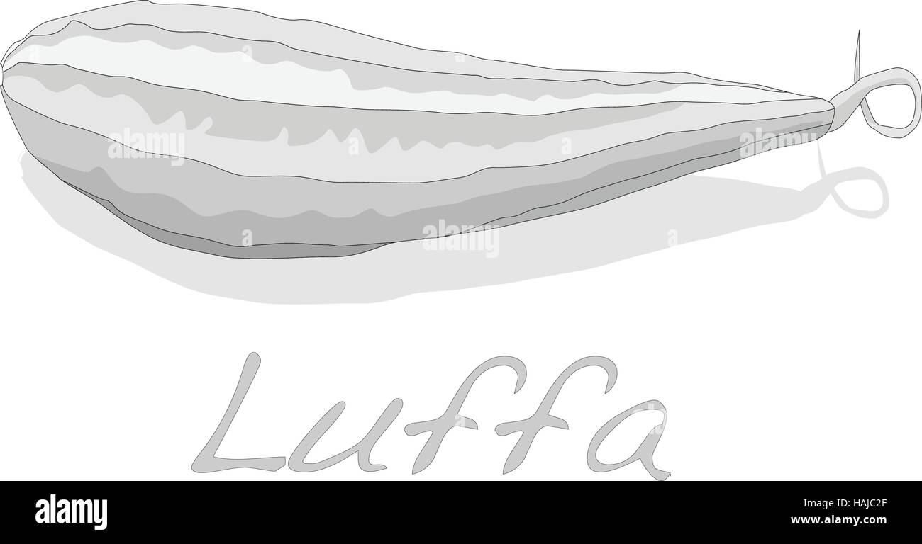 Angled gourd Black and White Stock Photos & Images - Alamy