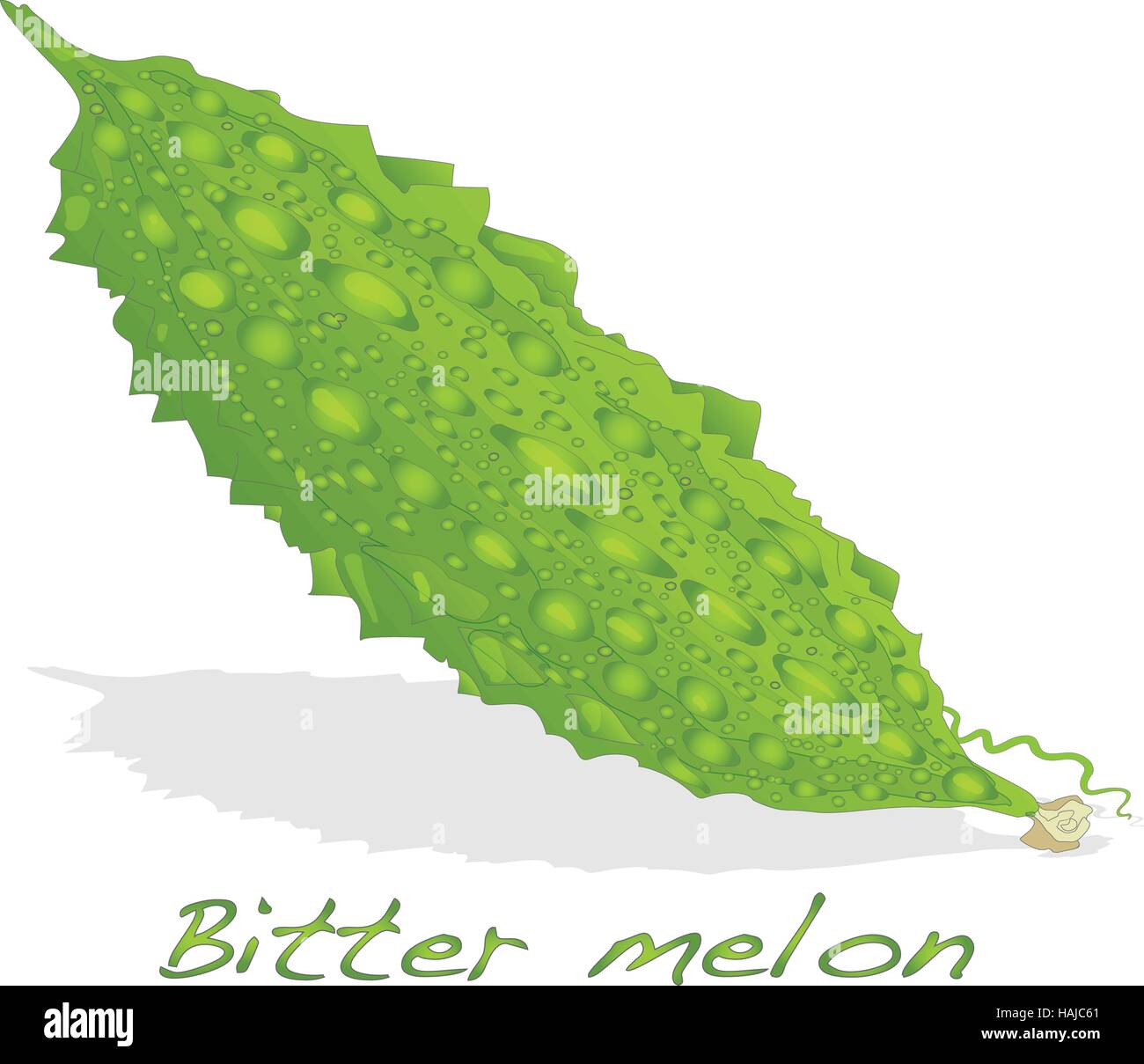 Bitter gourd background Stock Vector Images - Alamy