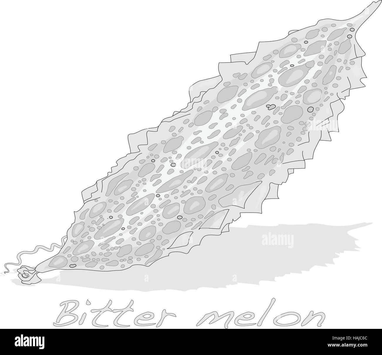 Bitter melon Black and White Stock Photos & Images - Alamy