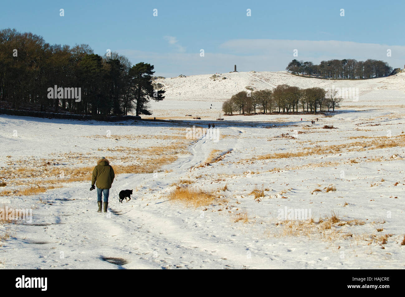 Man and his dog in snow at bradgate park leicester hi-res stock ...