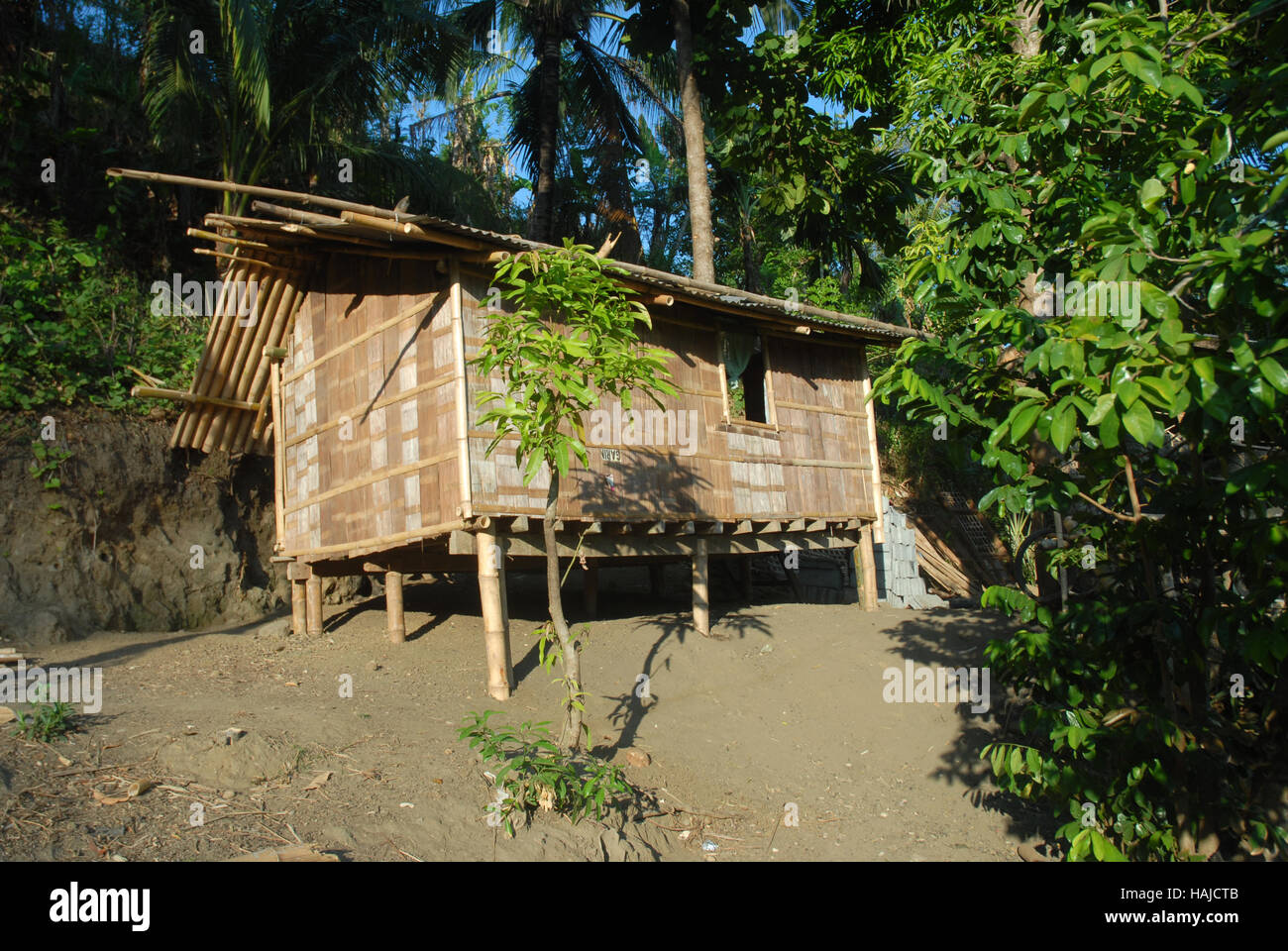 Bamboo hut in Jungle, Lawigan, San, Joaquin, Iloilo, Philippines Stock ...