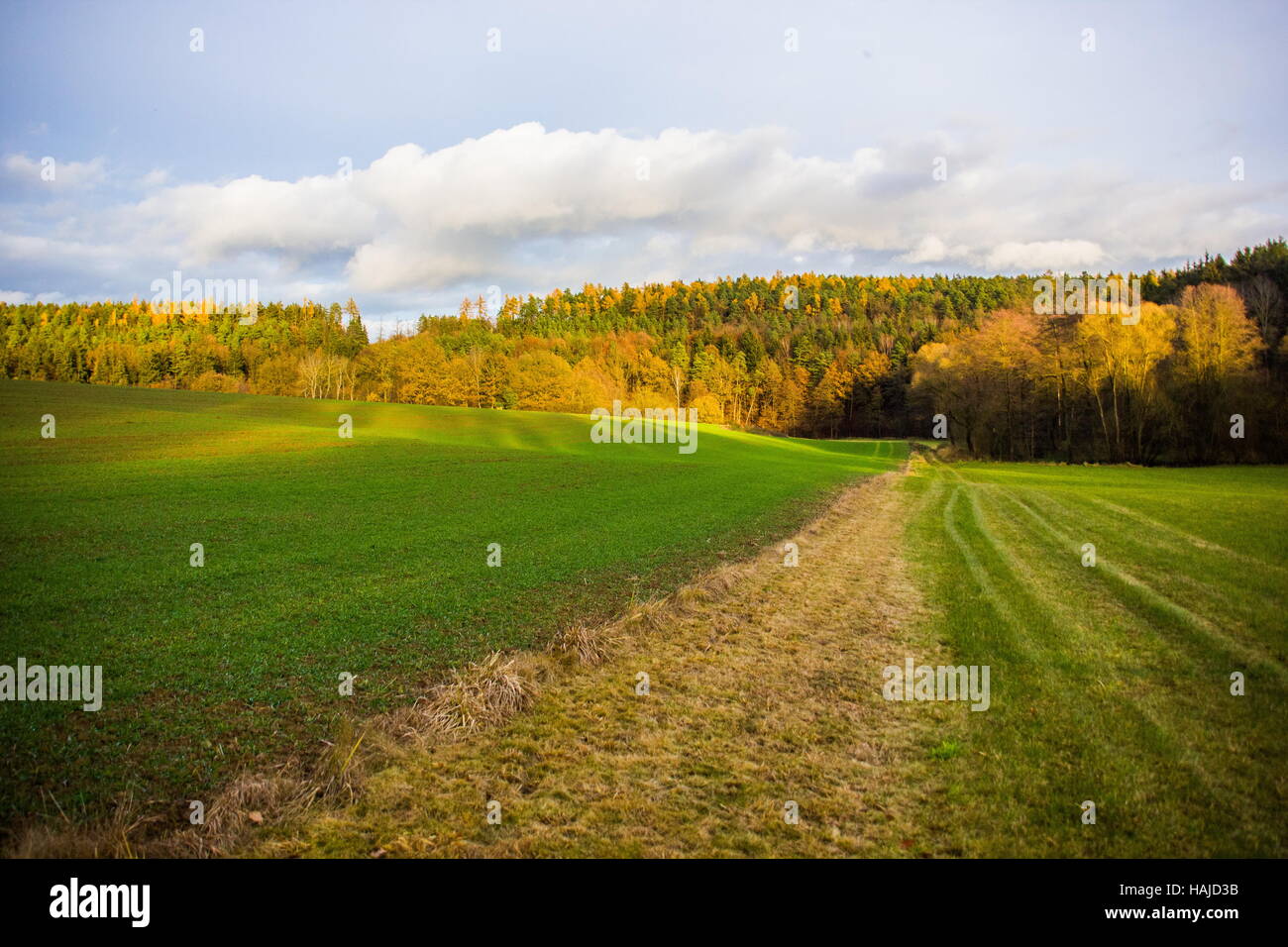 Autumn countriside landscape. South Bohemia Stock Photo - Alamy