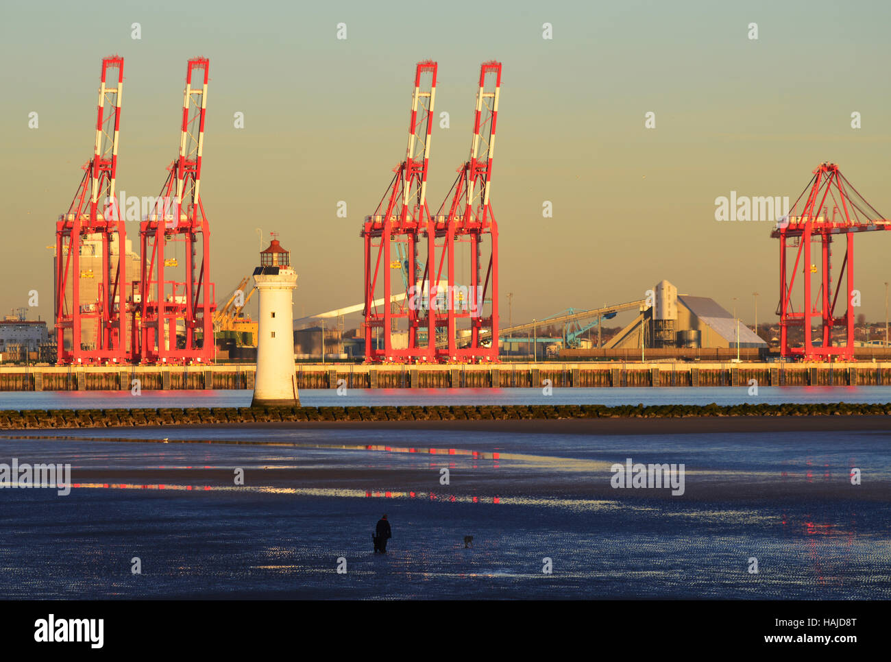 Liverpool container terminal hi-res stock photography and images - Alamy