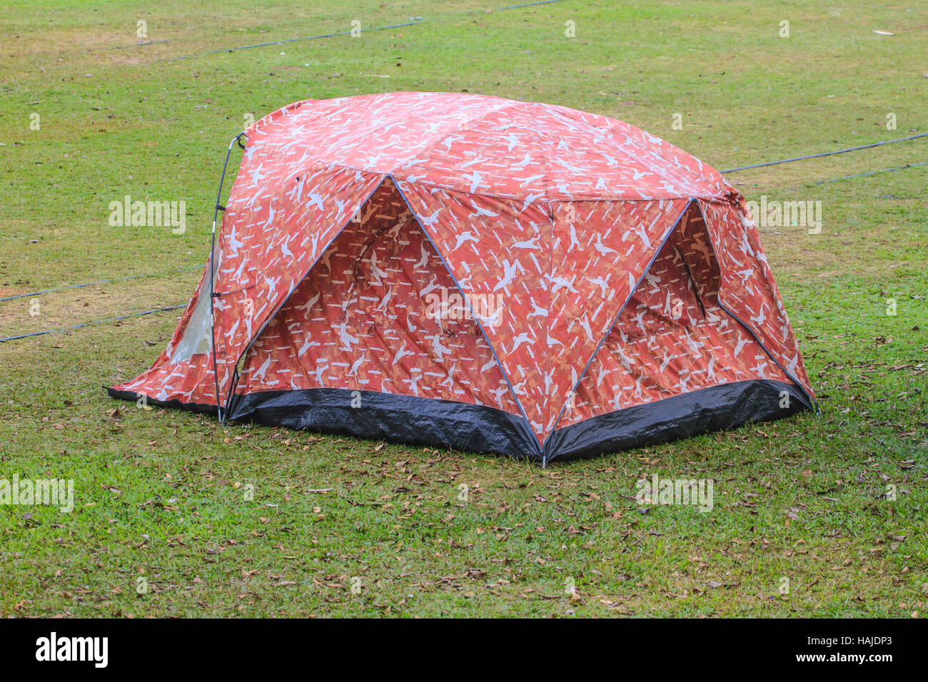 Camping in the wilderness, tent on campground in morning Stock Photo ...