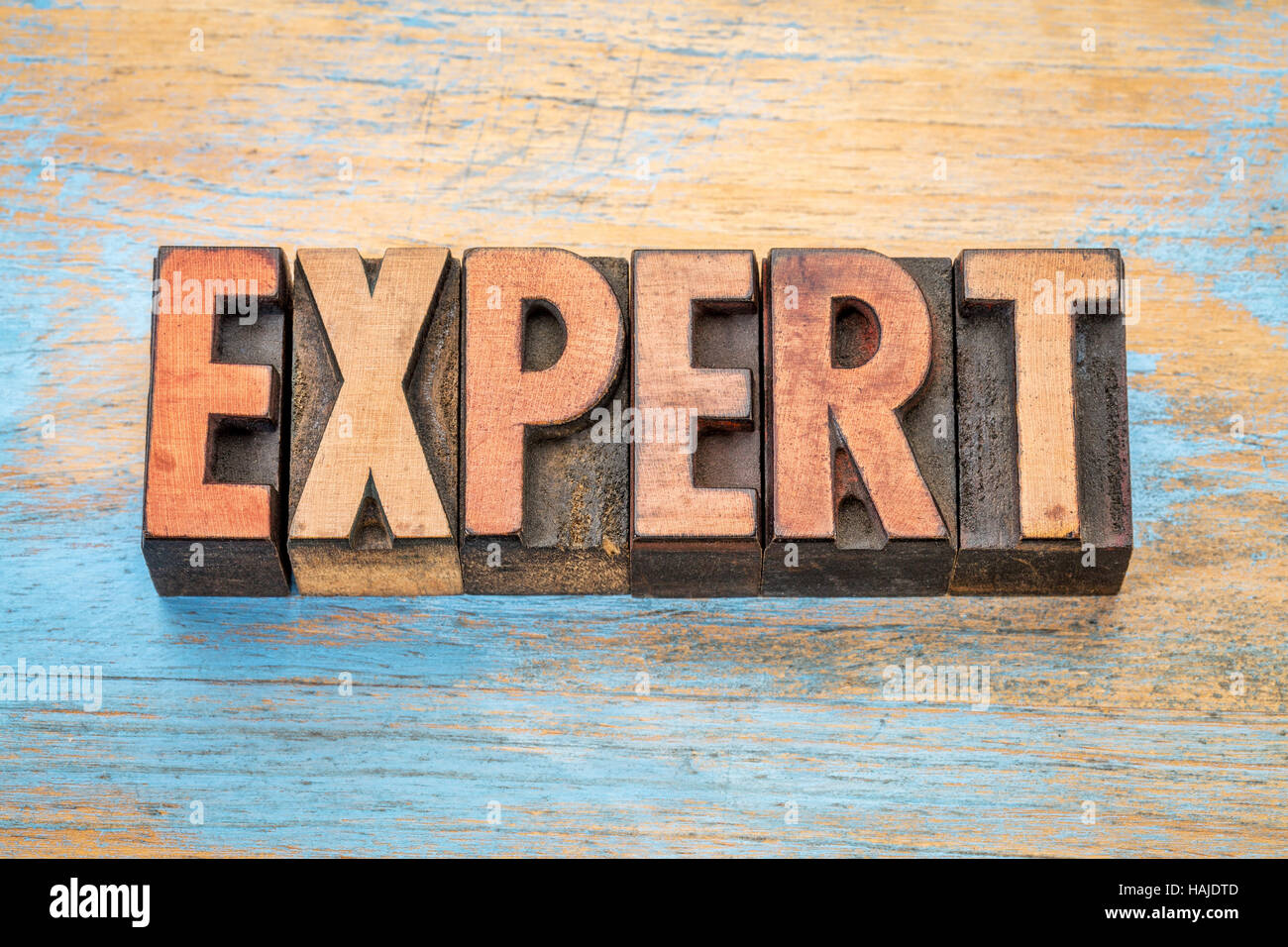 expert - word abstract in vintage letterpress wood type printing blocks ...