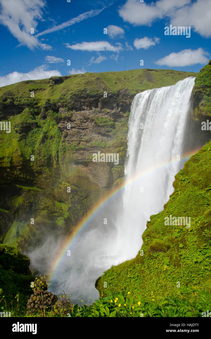 Skogafoss Waterfall With Rainbow In Iceland Stock Photo Alamy
