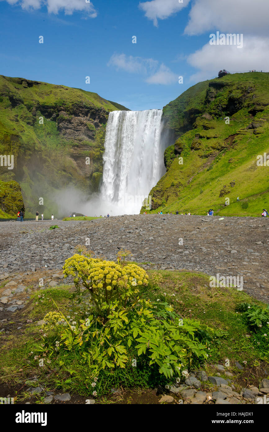 skogafoss waterfall iceland Stock Photo - Alamy
