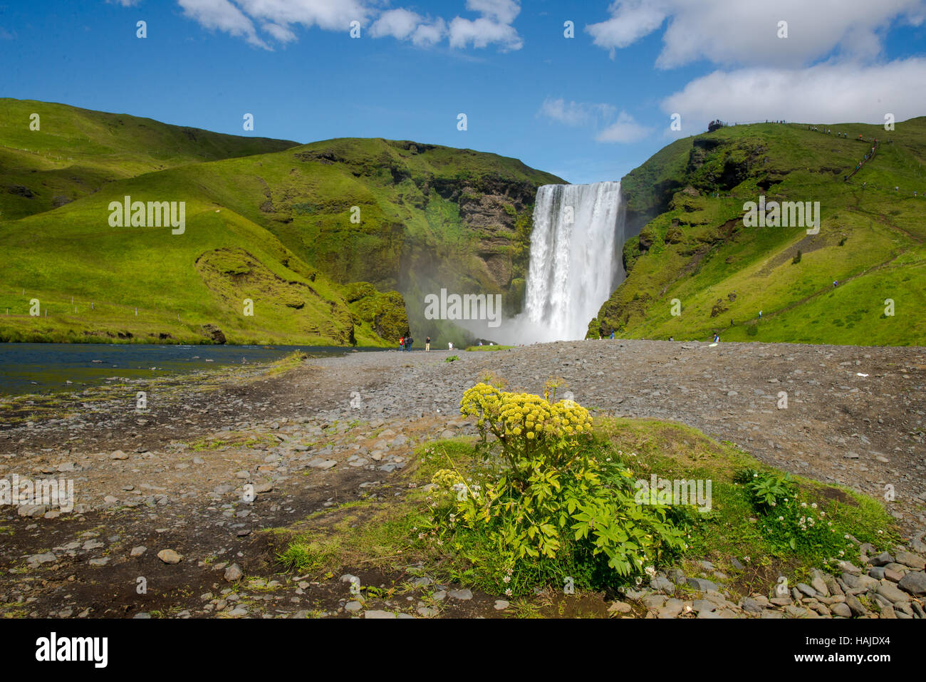 skogafoss waterfall iceland Stock Photo - Alamy