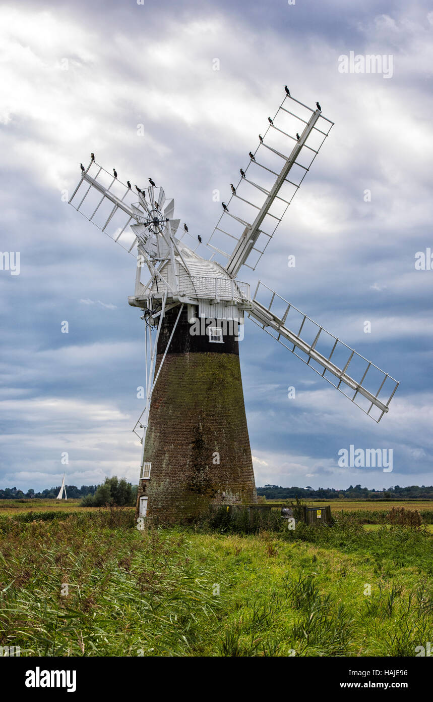 Drainage Mill on River Thurne, Norfolk, UK Stock Photo - Alamy