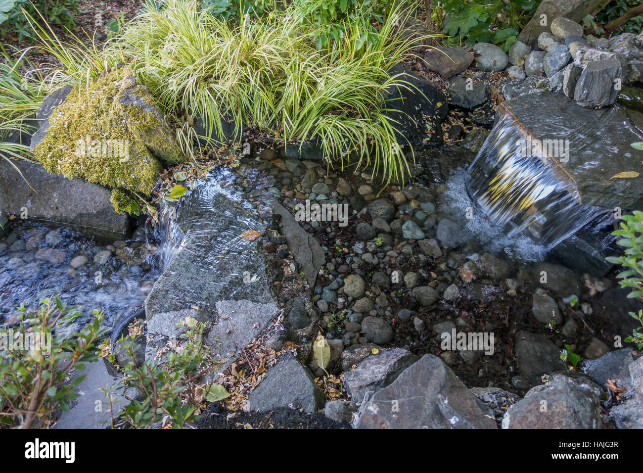 Crystal clear water flows in a stream over a rocky bed Stock Photo - Alamy