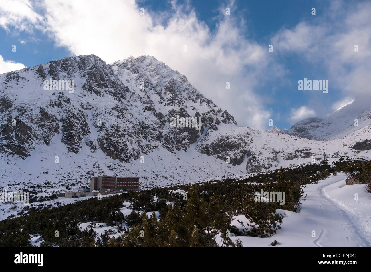 Winter landscape in the Tatra Mountains. Slovakia Stock Photo - Alamy