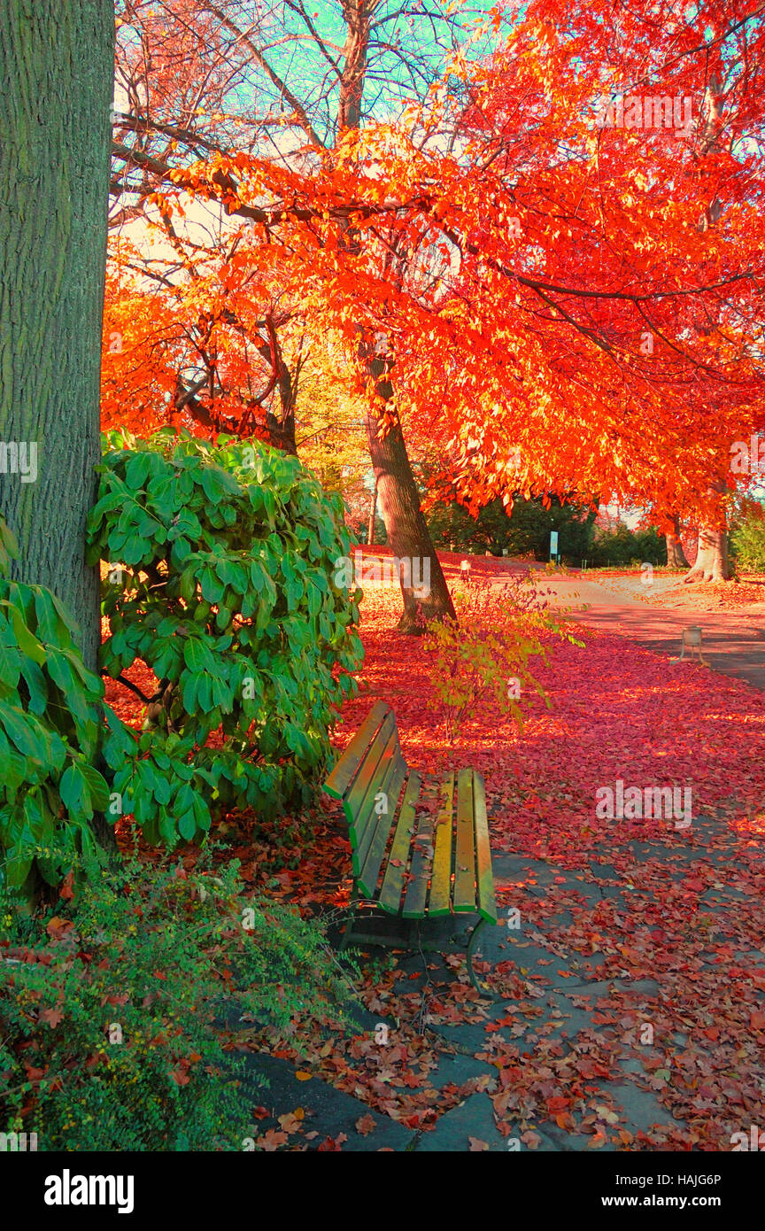 Park bench beside path with autumn leaves Stock Photo - Alamy