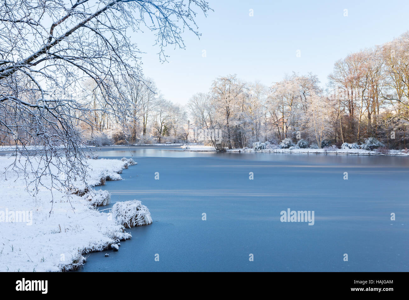 White winter landscape in a garden with trees and frozen pond covered ...