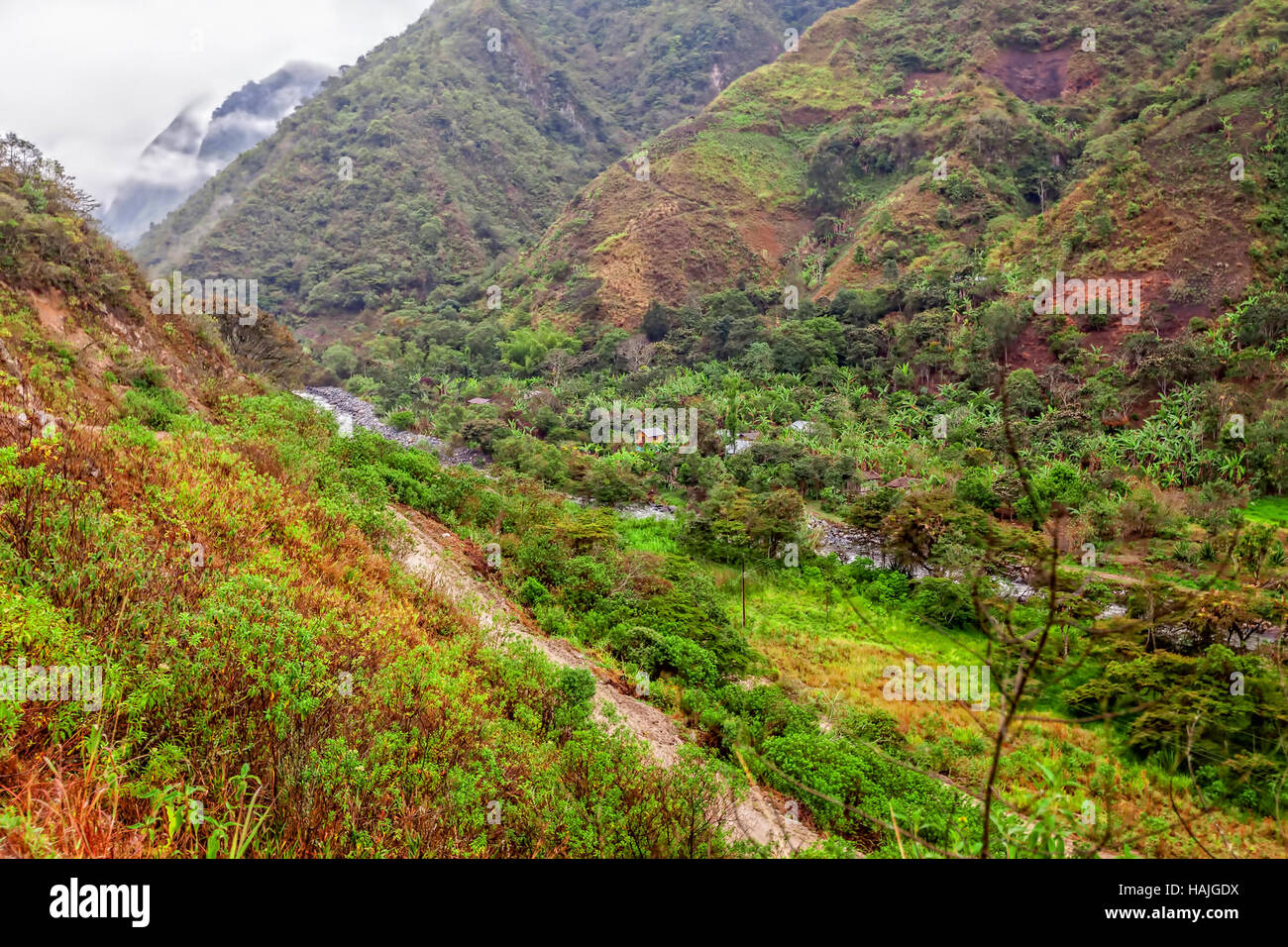 Arial View Of Green Fields Under Low Lying Clouds In The Intag Valley ...