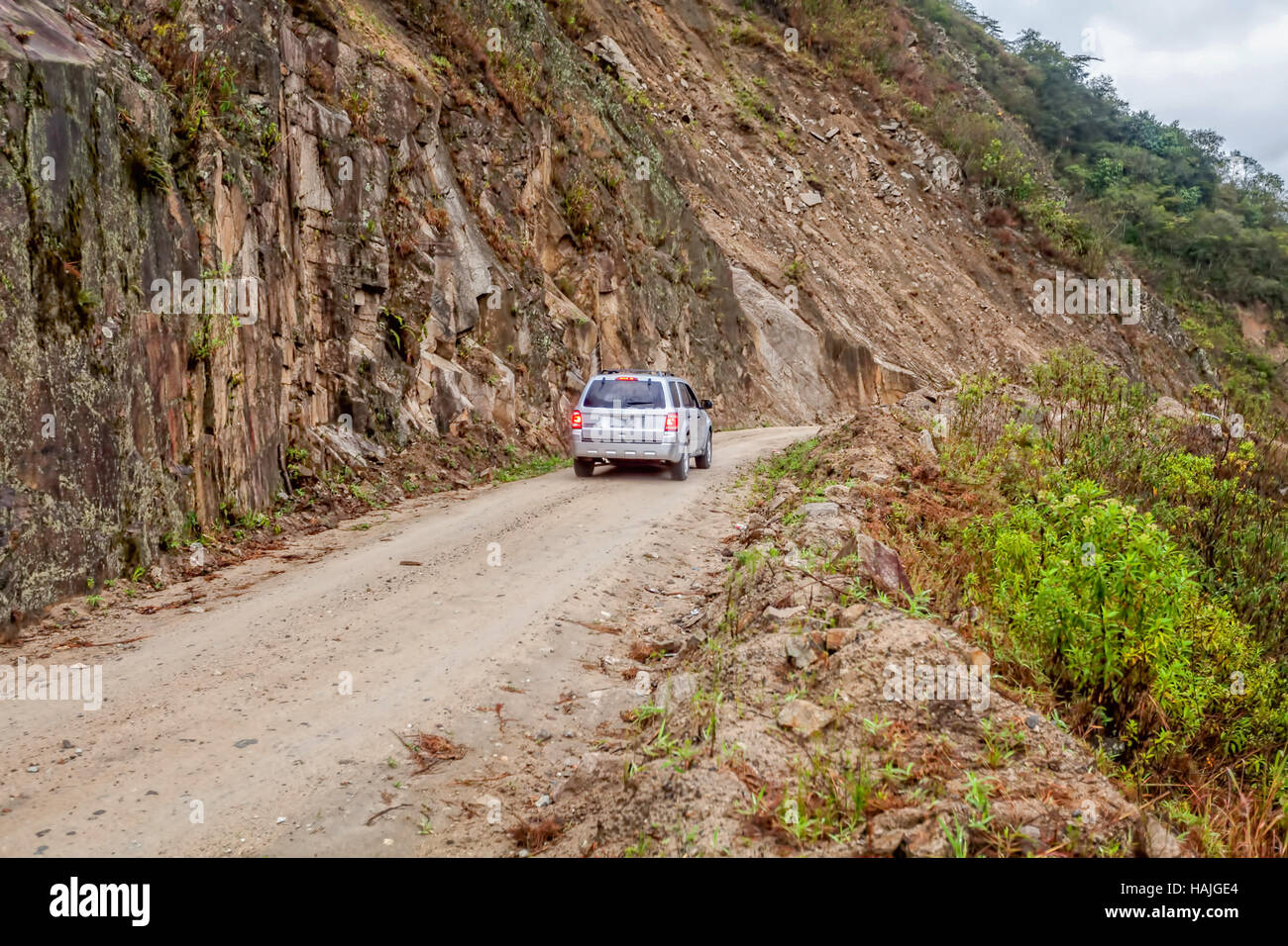Ecuador rainforest intag hi-res stock photography and images - Alamy