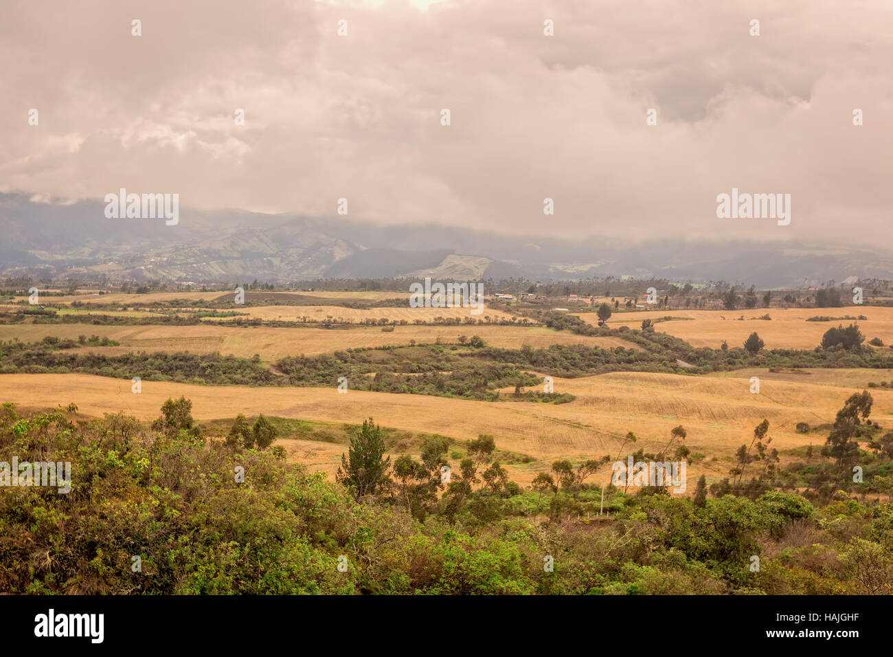 Agriculture field green hi-res stock photography and images - Alamy