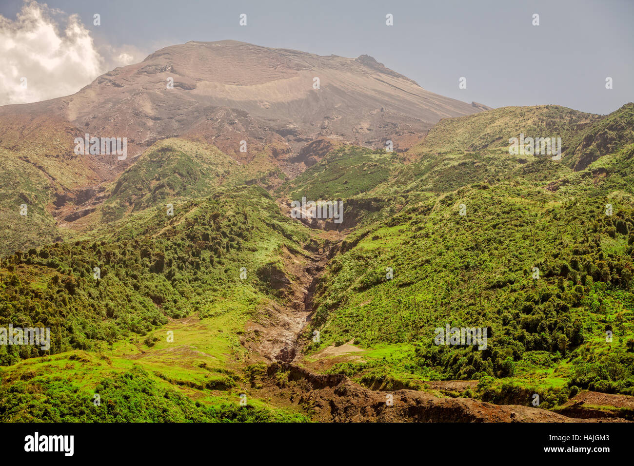 Ecosystem volcano lava hi-res stock photography and images - Alamy
