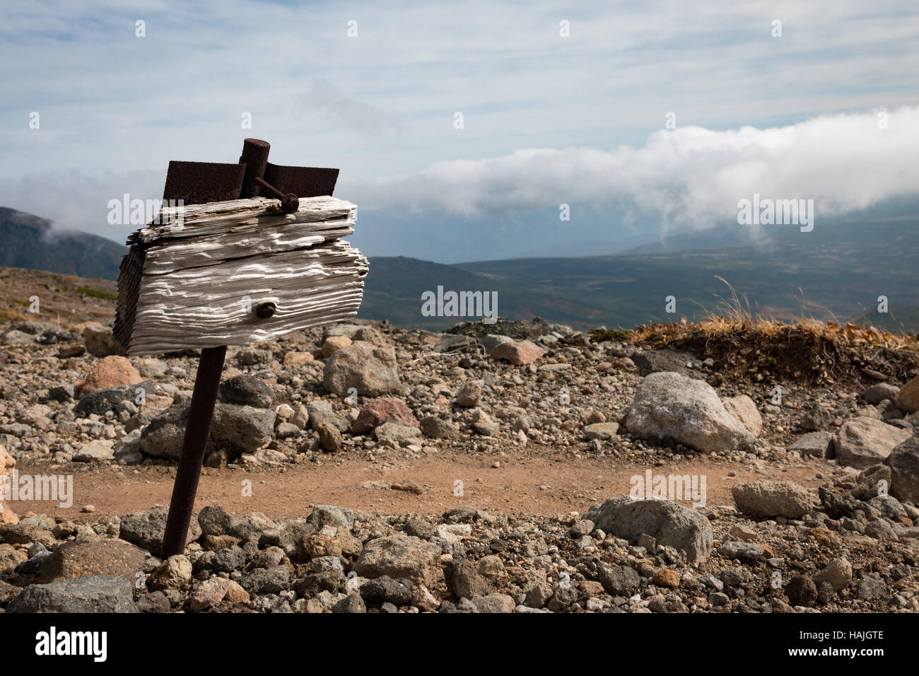 Weather beaten wooden board hi-res stock photography and images - Alamy