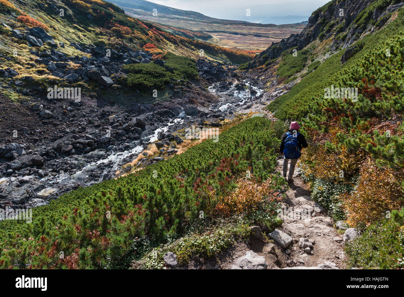 Woman hiking down into a ravine toward a hot spring, Daisetsuzan ...