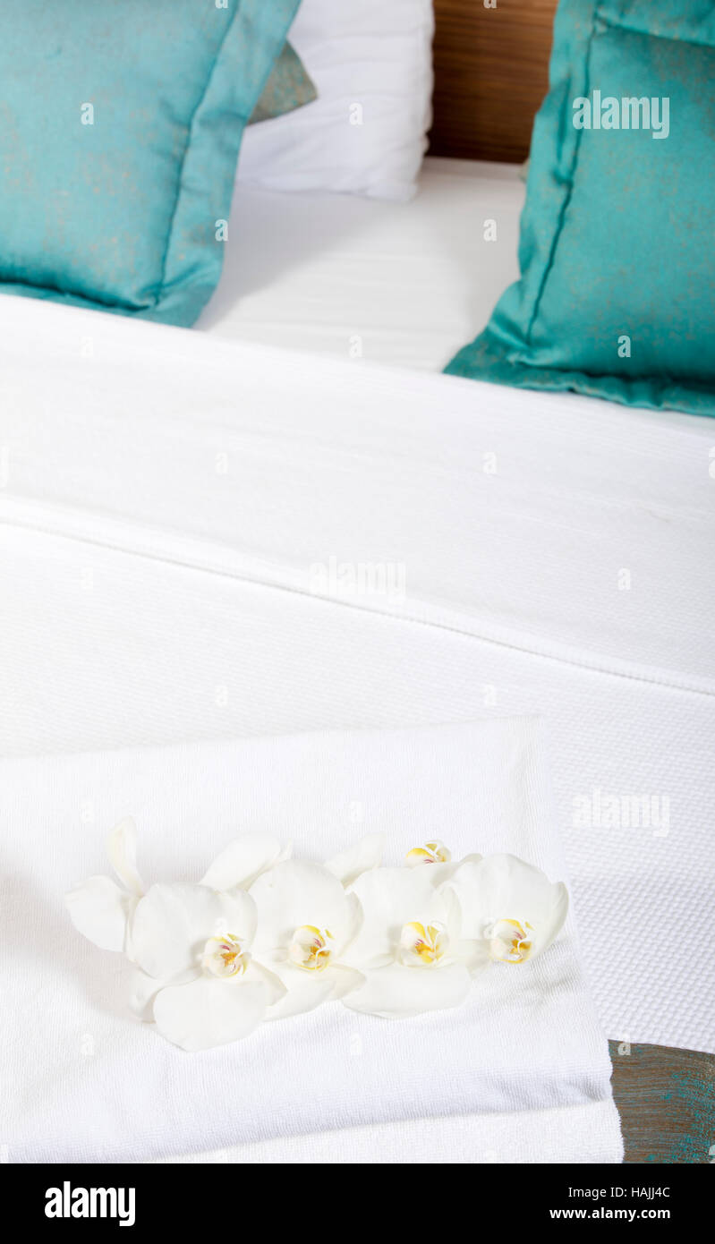 Interior of a double bed hotel room Stock Photo - Alamy