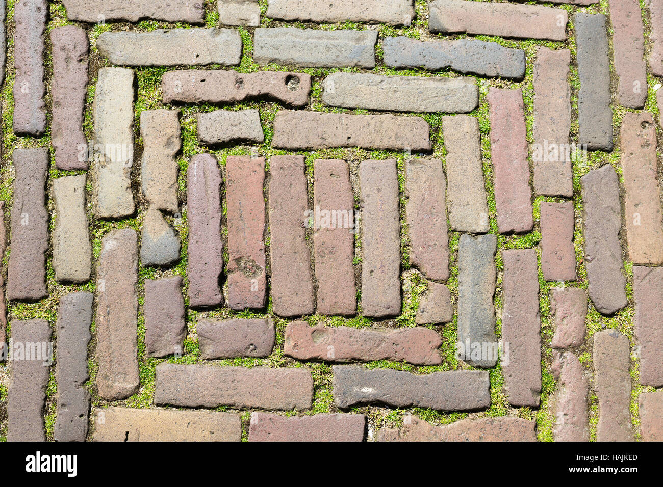 Grass pavers hi-res stock photography and images - Alamy