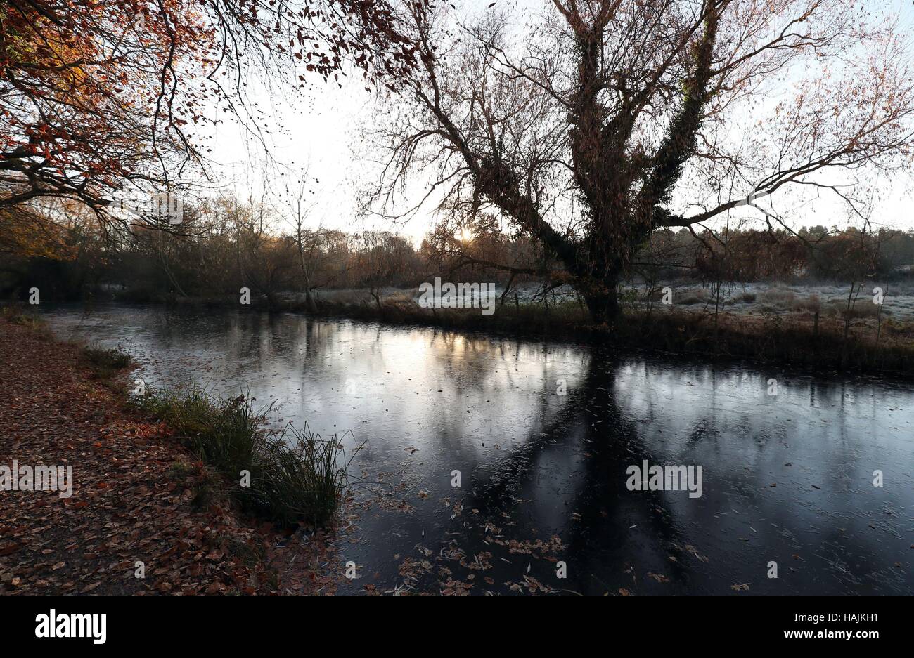 A layer of ice covers the Basingstoke Canal near Dogmersfield in ...