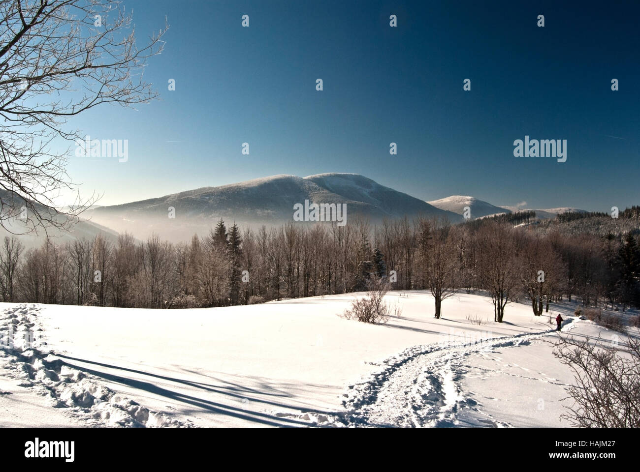 nice winter day with hills panorama, snow, few trees and clear sky in ...