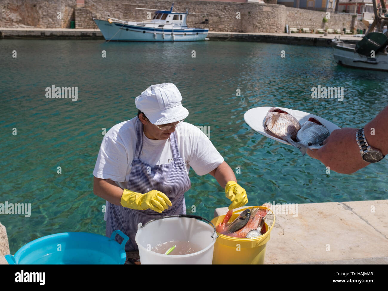 Woman cleaning fresh fish at the waterfront in Veli Losinj, Kvarner ...