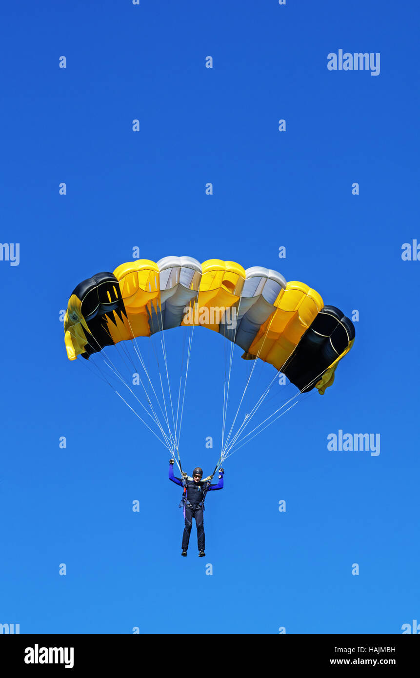 Parachutists - 2015.Flight under the parachute Stock Photo - Alamy