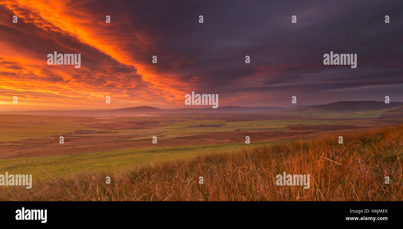 Rendall hi-res stock photography and images - Alamy