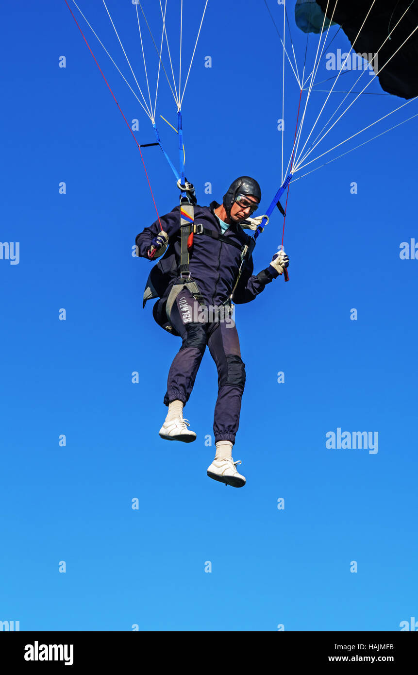 Parachutists - 2015.Landing on airfield Stock Photo - Alamy