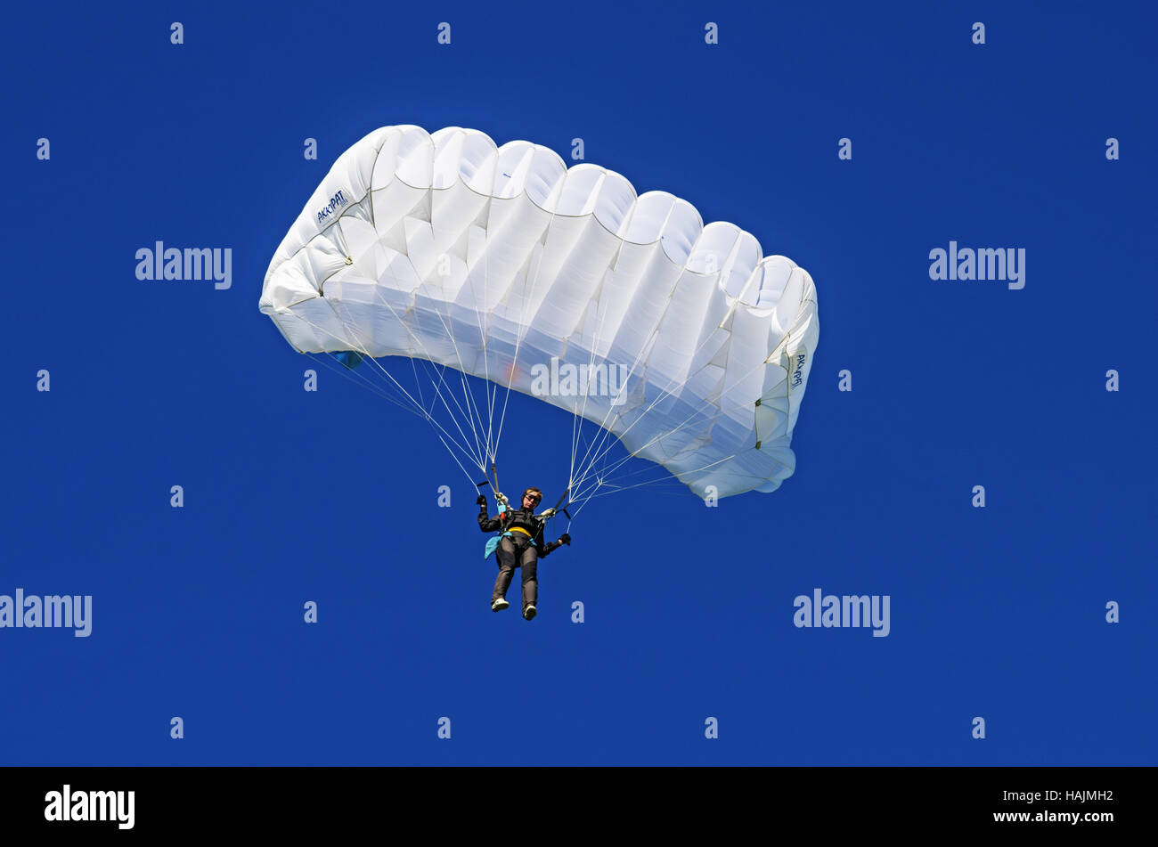 Parachutists - 2015.Flight under the parachute Stock Photo - Alamy