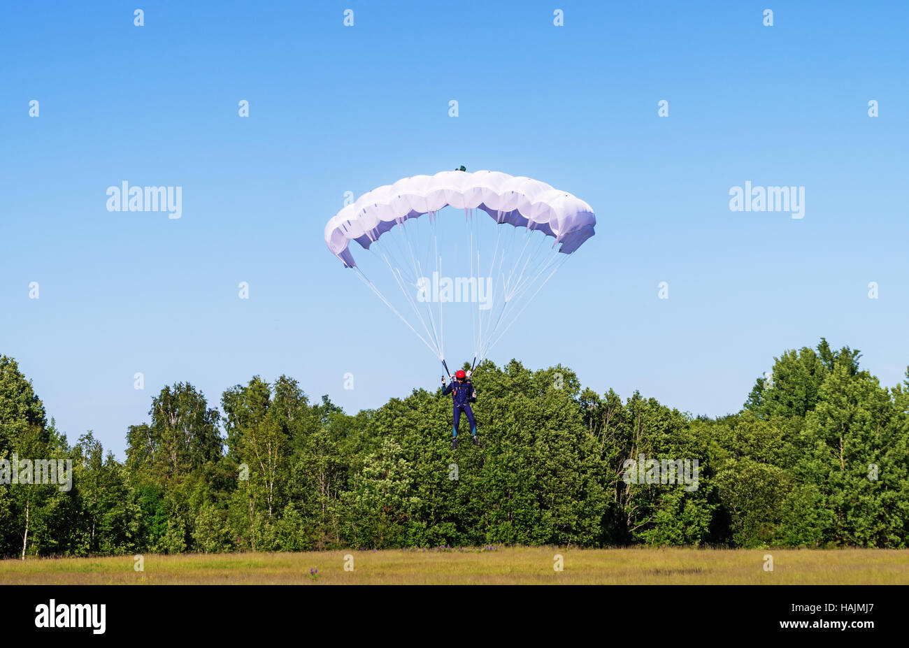 Parachutists - 2015.Landing on airfield Stock Photo - Alamy